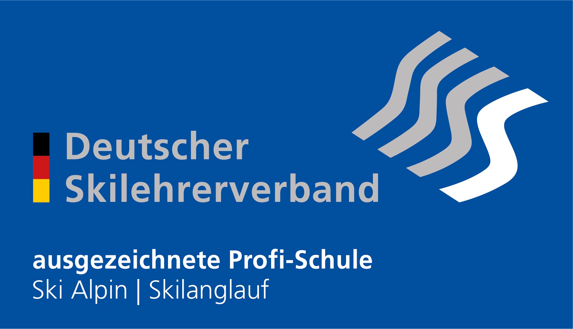 Logo Vorlagen für die DSLV Profi-Schule – DSLV